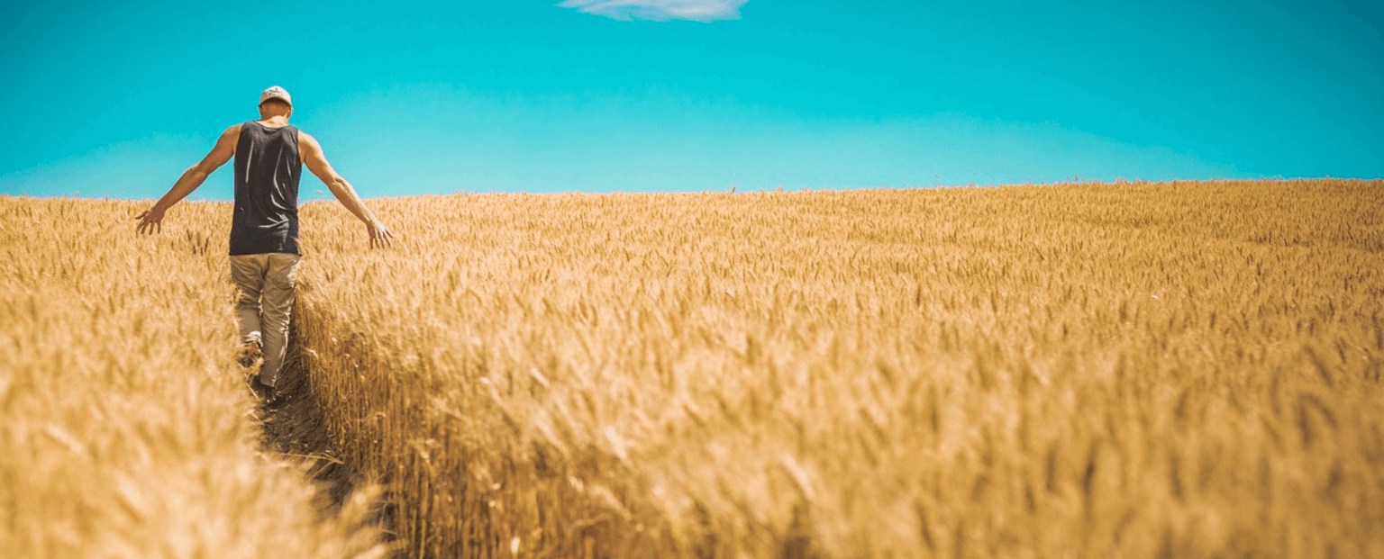 Variable-Rate Technology (VRT) in Precision Agriculture - Qaltivate