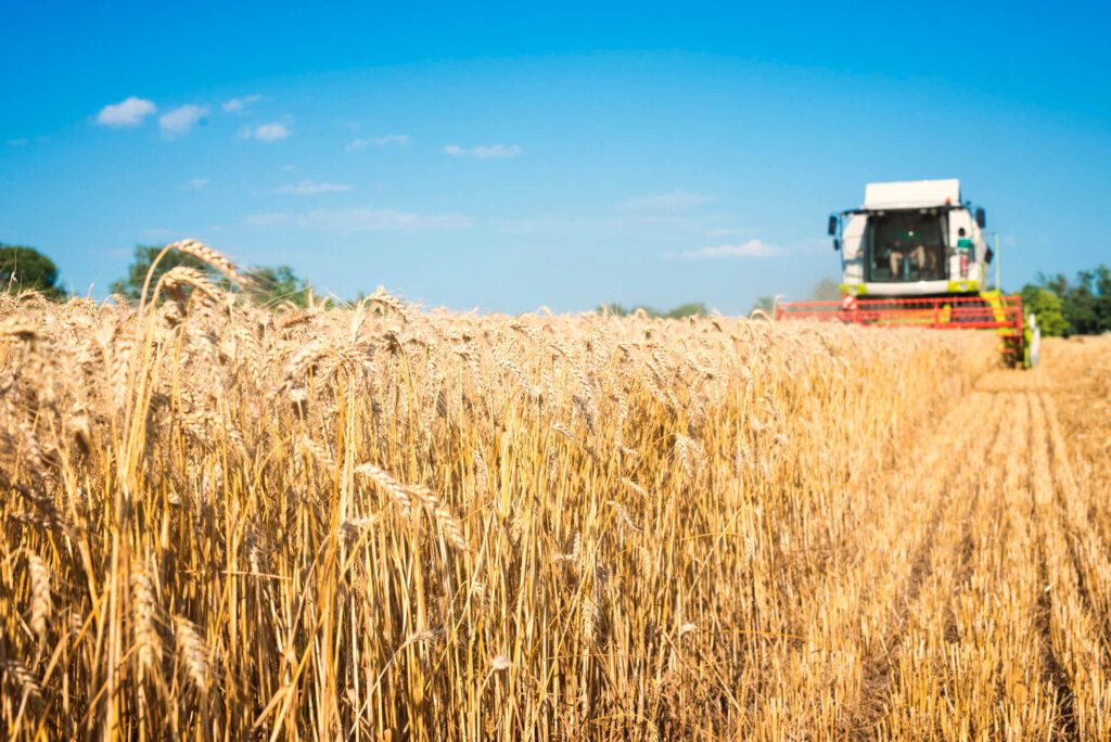 Can we feed the world? The rise of climate-resilient crops - Qaltivate