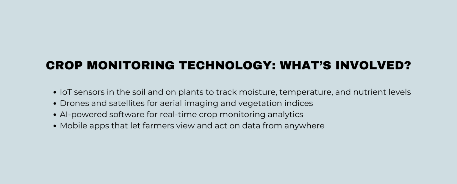 Crop Monitoring: Technology That Transforms How We See Fields - Qaltivate