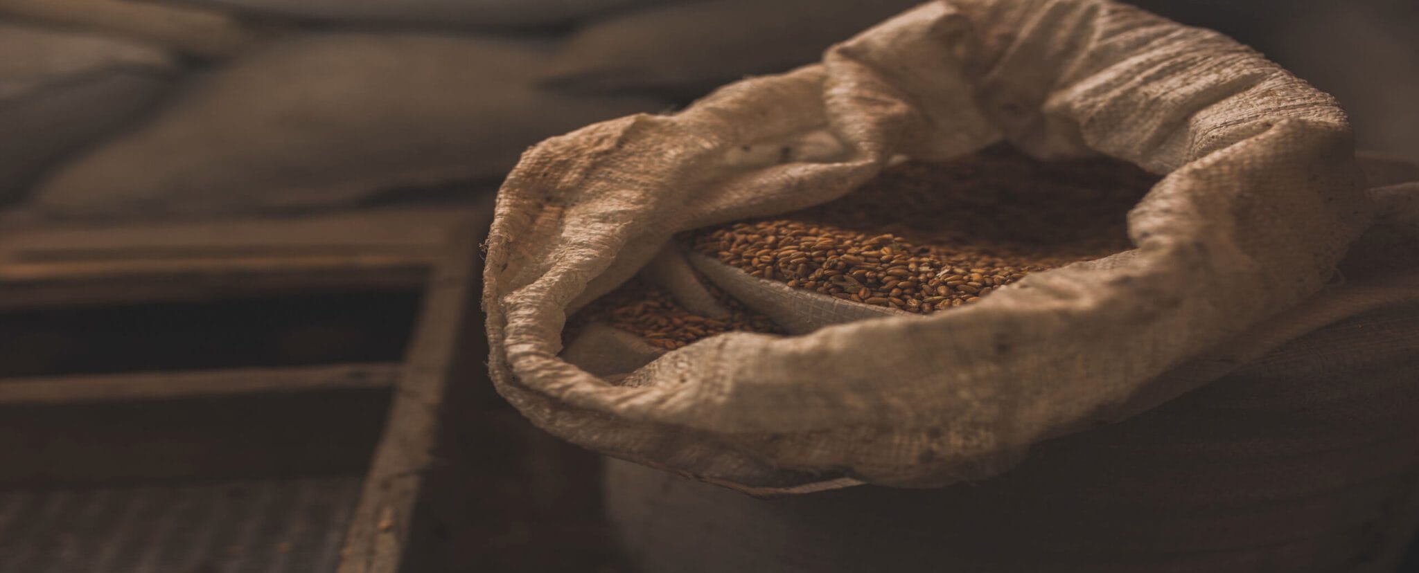 Grain Storage Solutions: Tackling Challenges with Innovation - Qaltivate