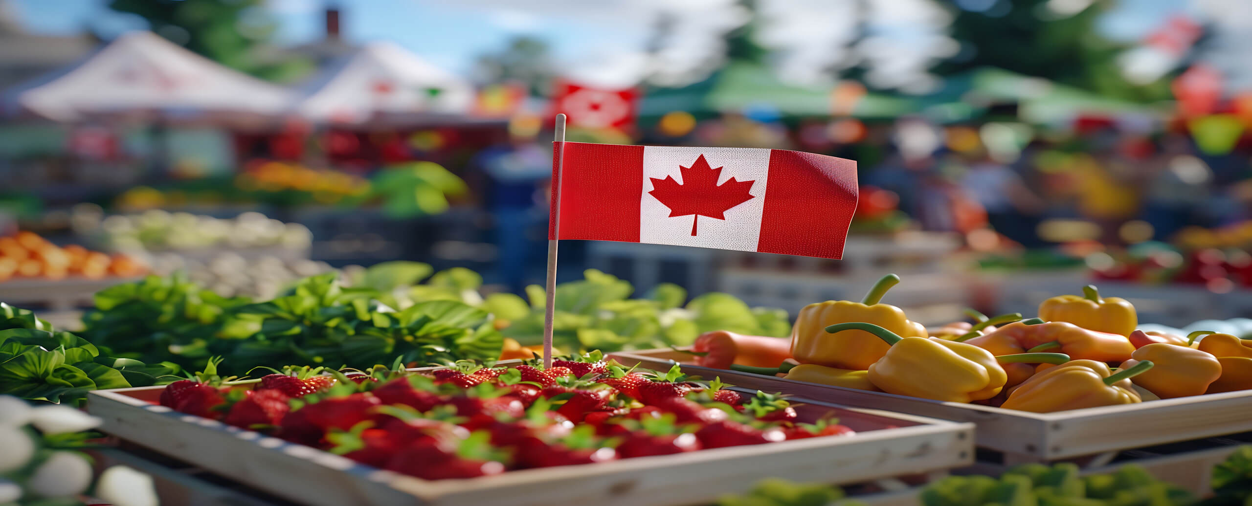 Farm grants Canada: programs, application process, and benefits - Qaltivate
